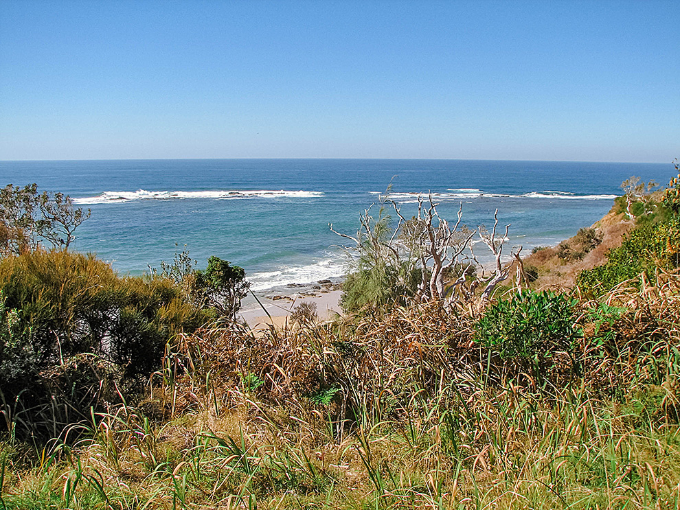 Melaleuca Park - Tree of Knowledge Details | Bookable Clarence Valley ...
