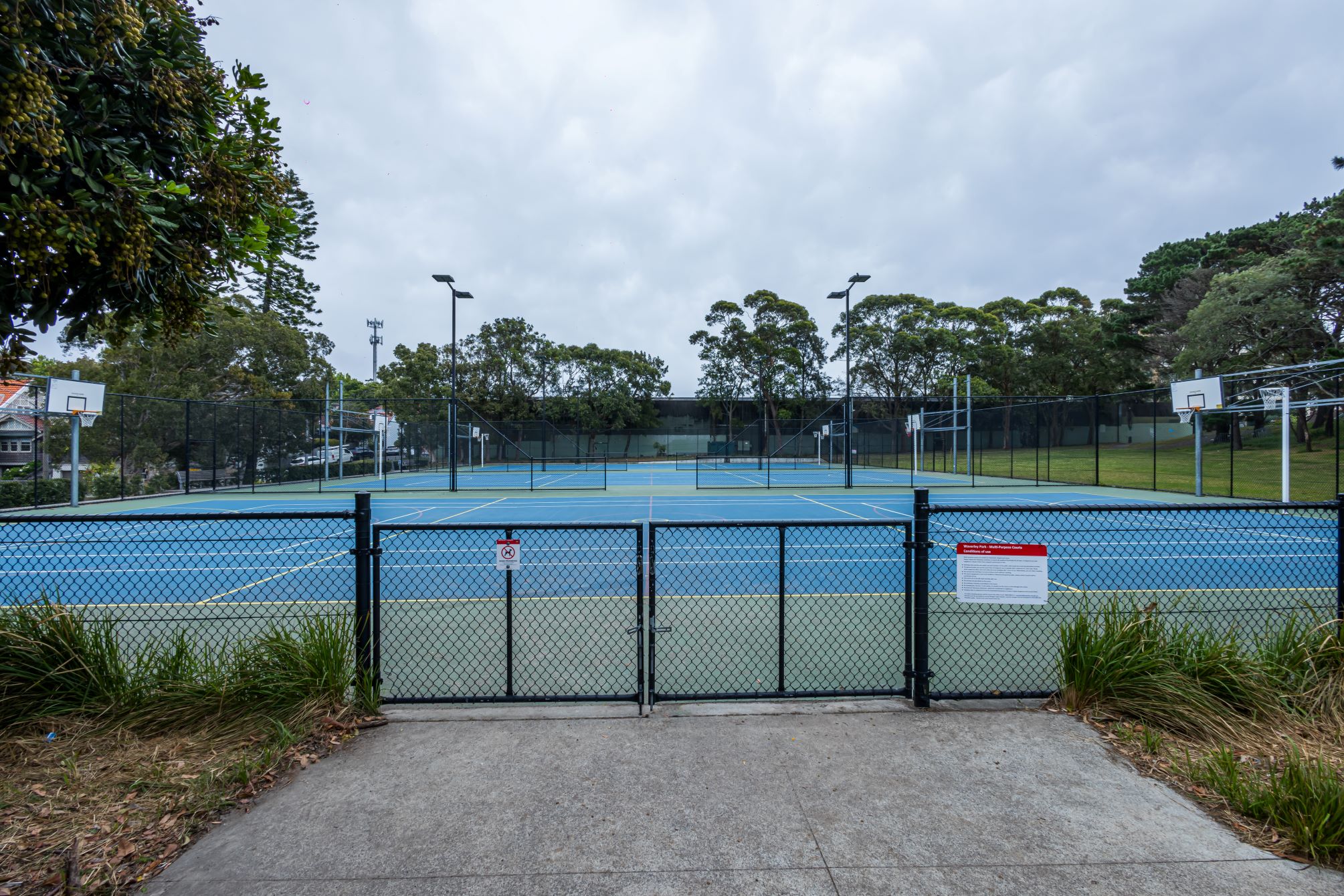 Waverley Park Multi-purpose Courts Details | Bookable Waverley Council