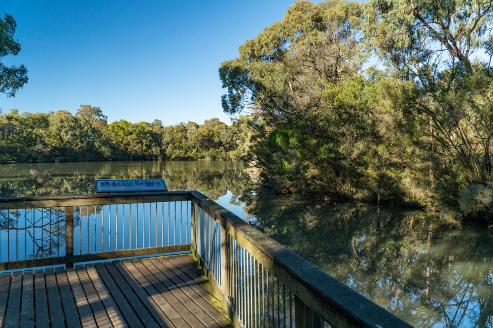 Blackburn Lake Sanctuary Details | Bookable Whitehorse City Council