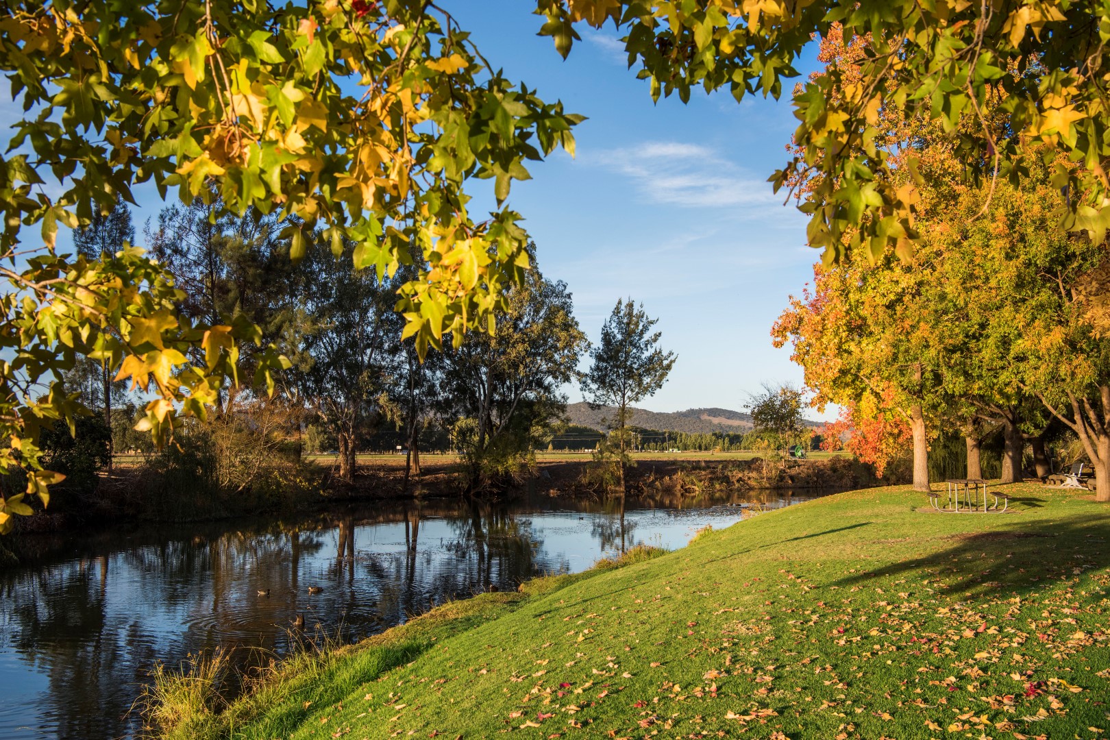 Mudgee Lawson Park Details | Bookable Mid-Western Regional Council