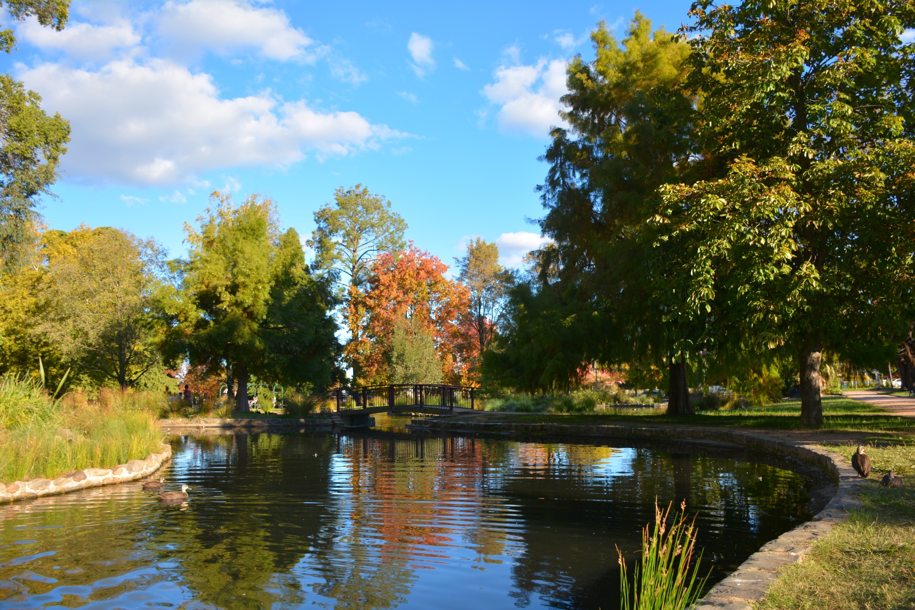 Cook Park Details | Bookable Orange City Council