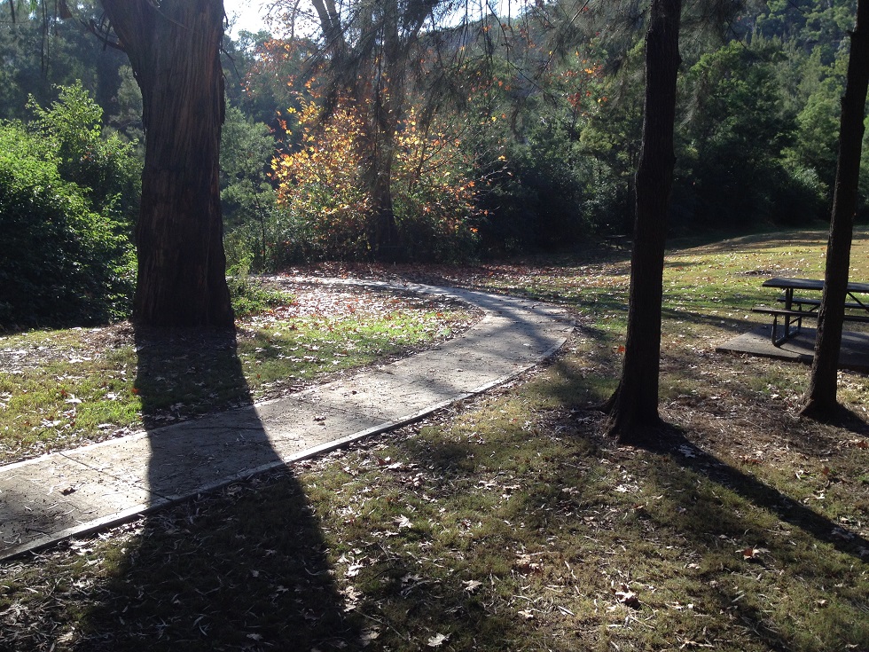 Colo Park Details | Bookable Hawkesbury City Council