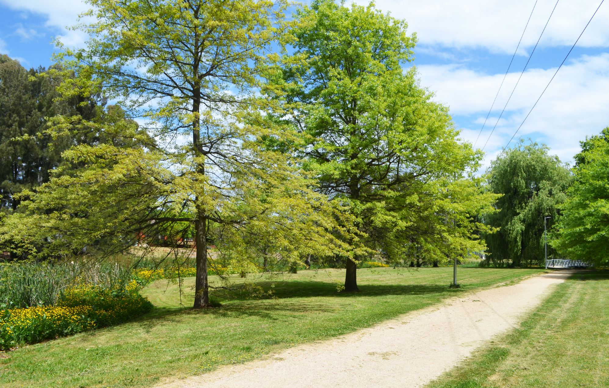 Moulder Park Details | Bookable Orange City Council