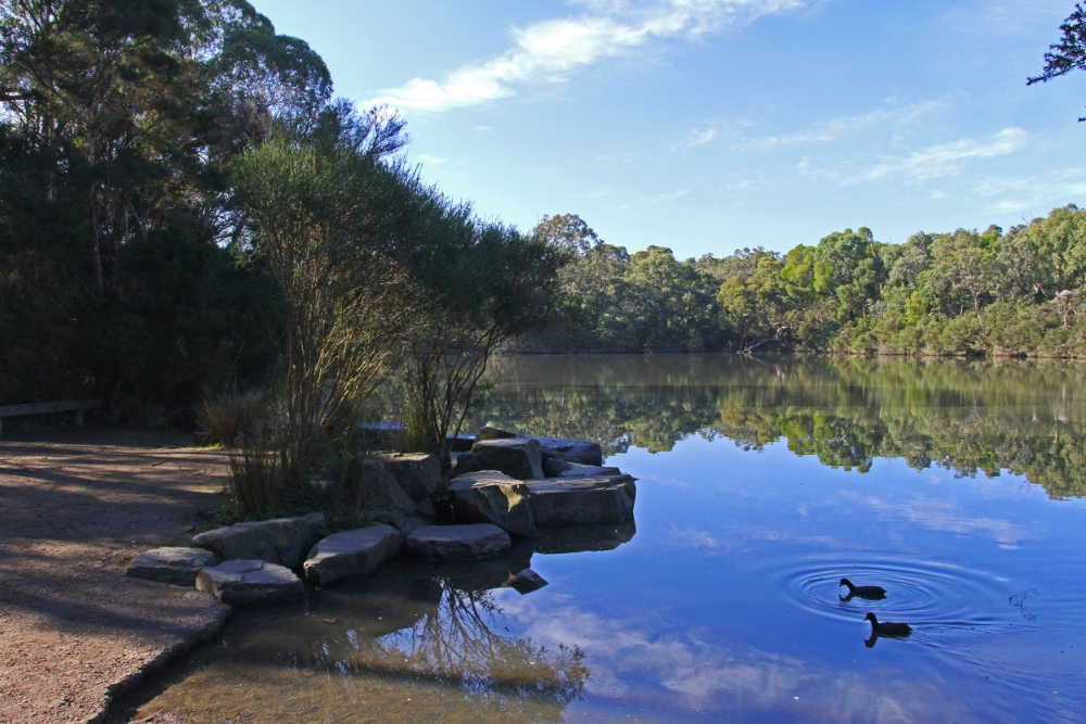 Blackburn Lake Sanctuary Details | Bookable Whitehorse City Council