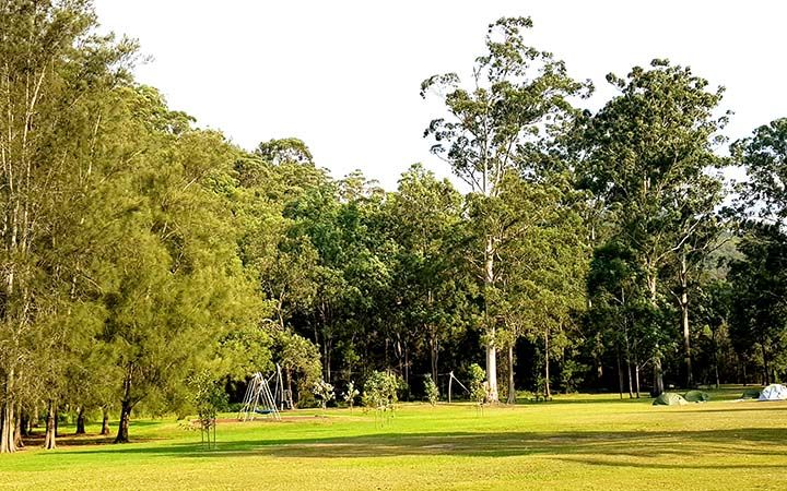 Crosslands Reserve Camping Area Details | Bookable Hornsby Shire Council