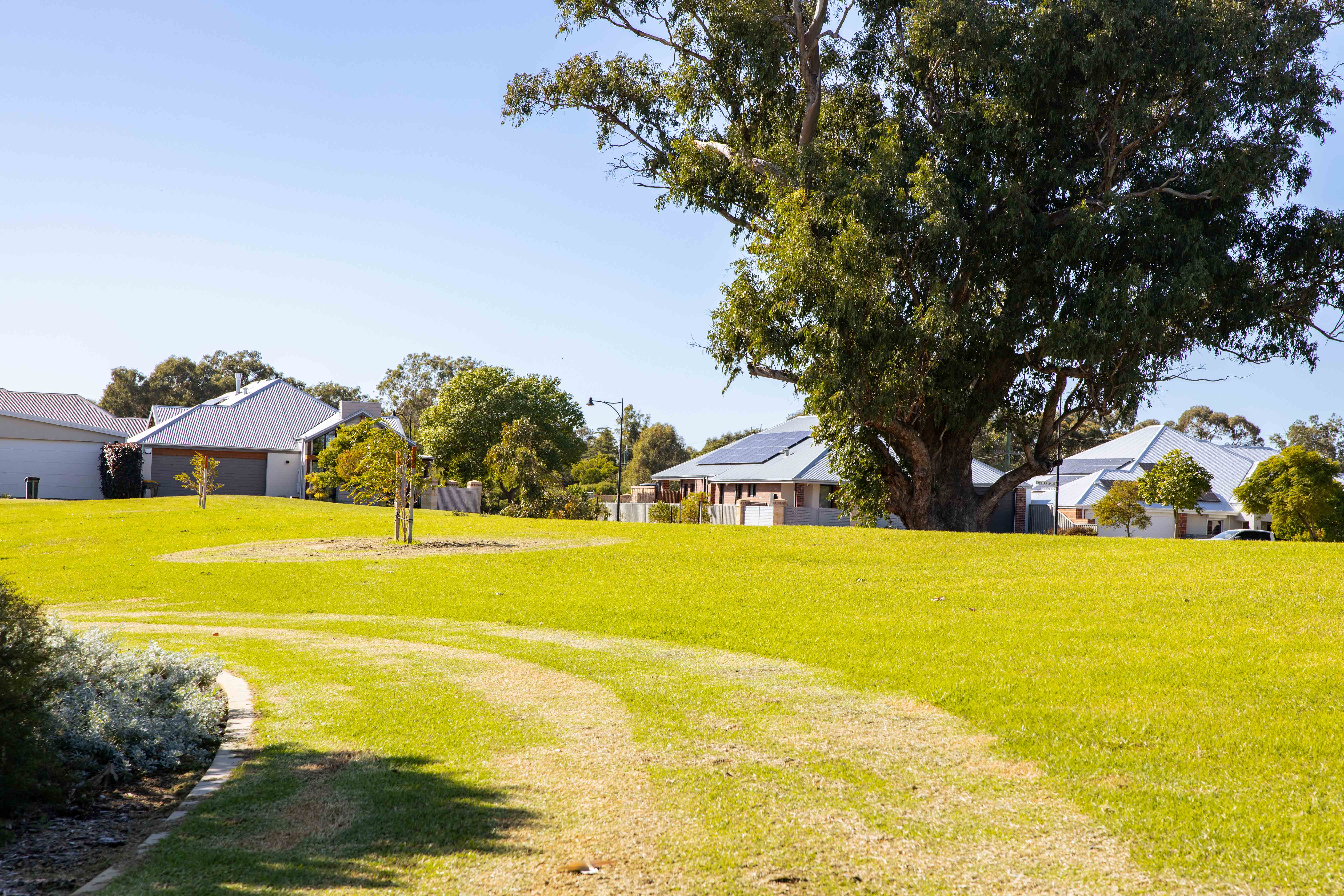 Arthur Pexton Fields Details | Bookable City of Swan