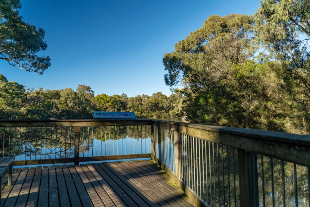 Blackburn Lake Sanctuary Details | Bookable Whitehorse City Council