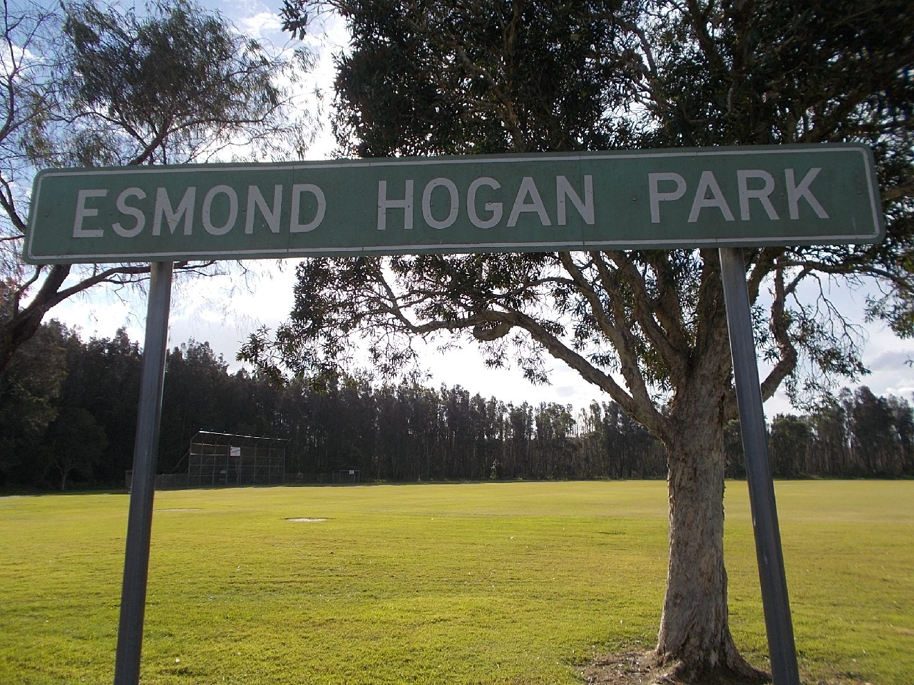 Esmond Hogan Park Details | Bookable MidCoast Council