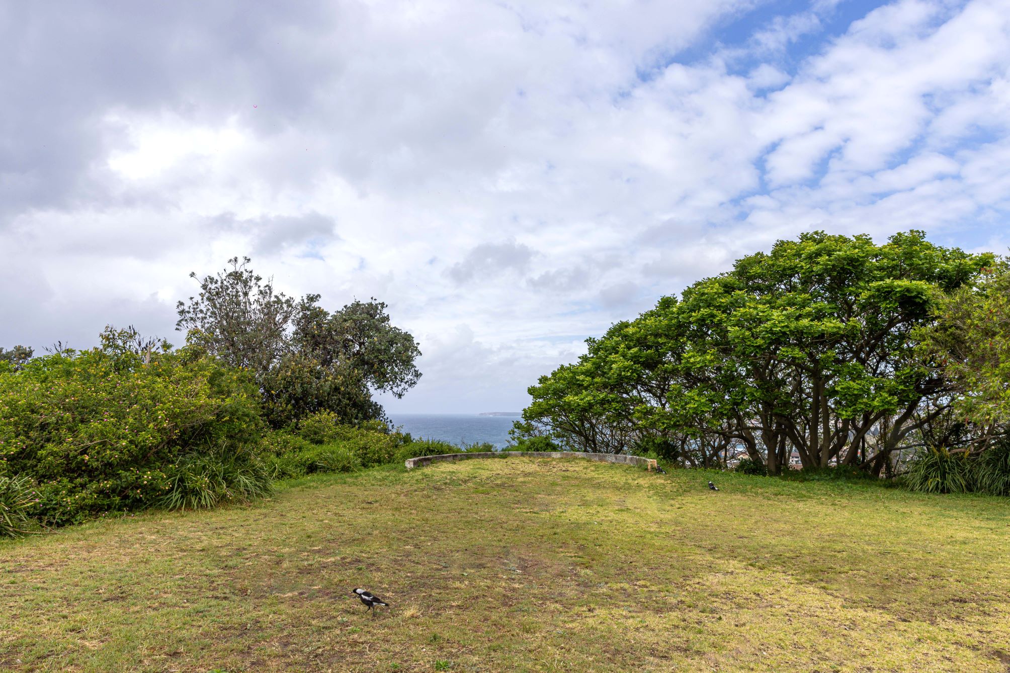 Hugh Bamford Reserve Hall Details | Bookable Waverley Council