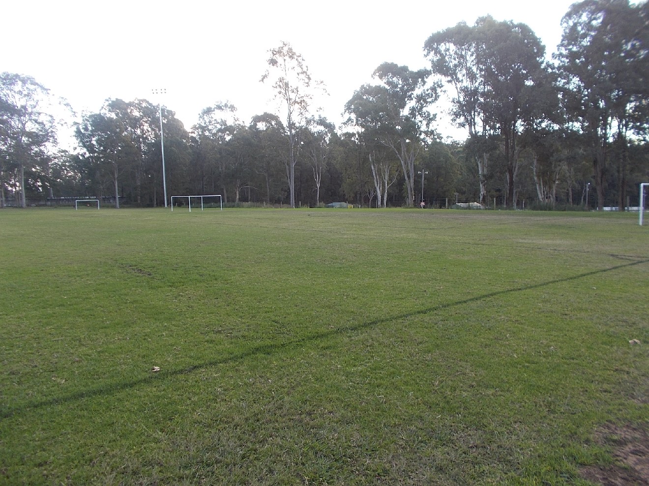 Wingham Sporting Complex Details | Bookable MidCoast Council
