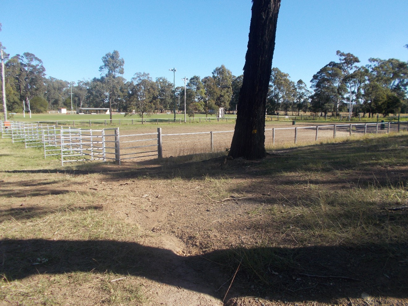 Nabiac Showground Details | Bookable MidCoast Council