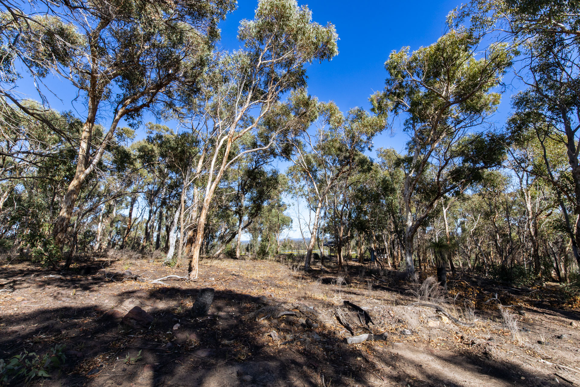 Wandoo Heights Nature Reserve Details | Bookable City of Swan